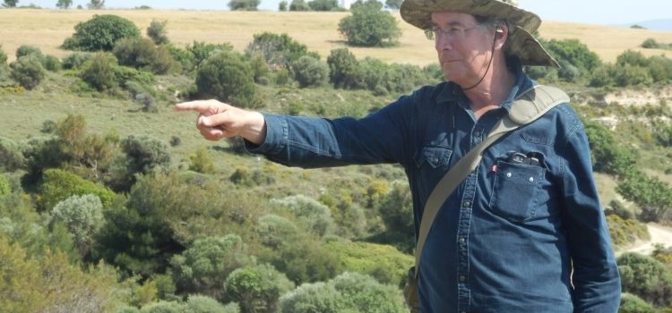 Peter Hart Battlefield Tours – Gallipoli! It was a lunacy that never ...