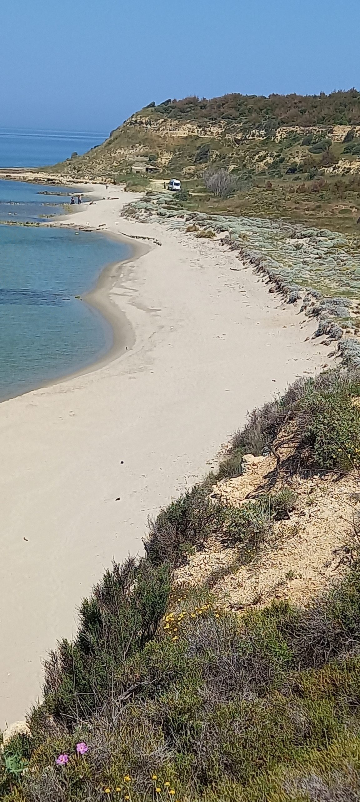 Peter Hart Battlefield Tours – Gallipoli! It was a lunacy that never ...