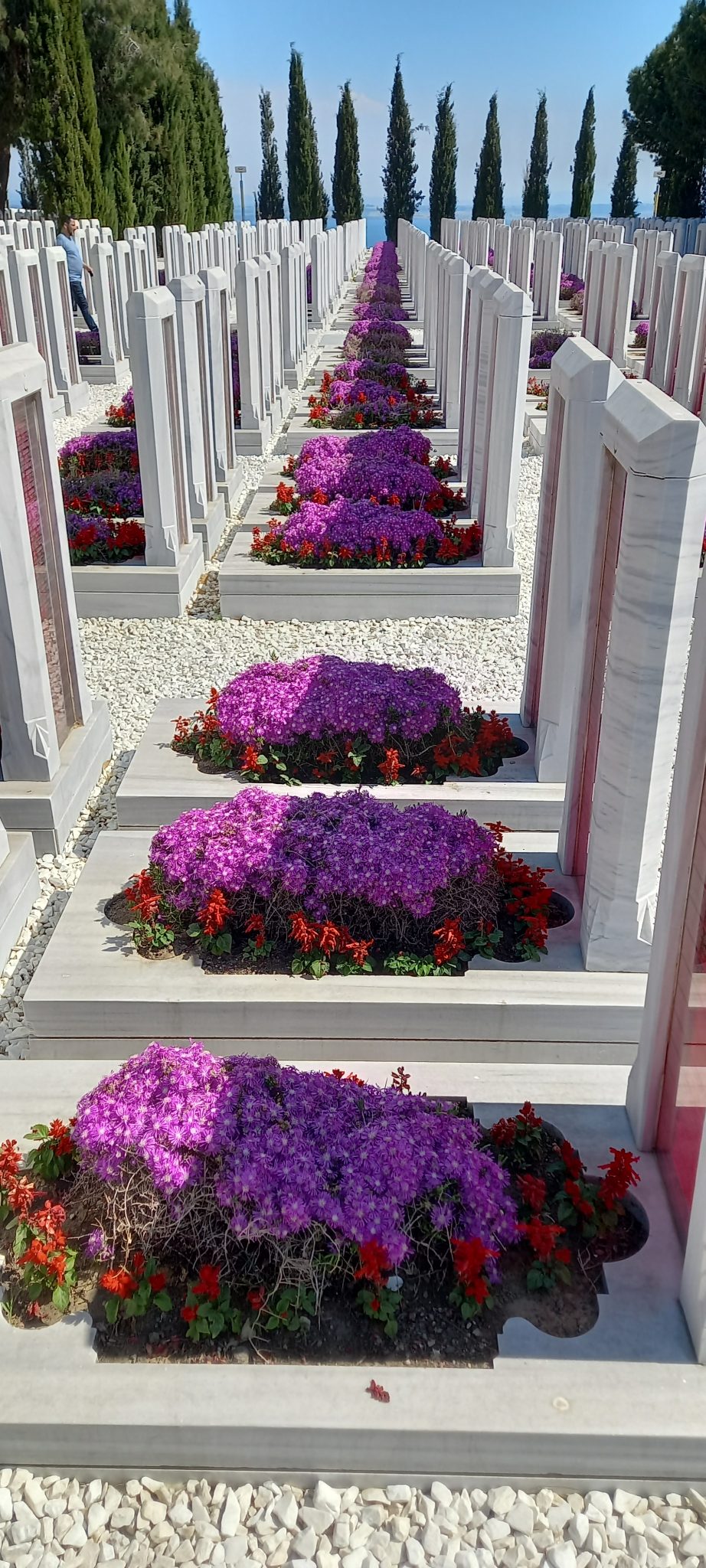 Peter Hart Battlefield Tours – Gallipoli! It was a lunacy that never ...